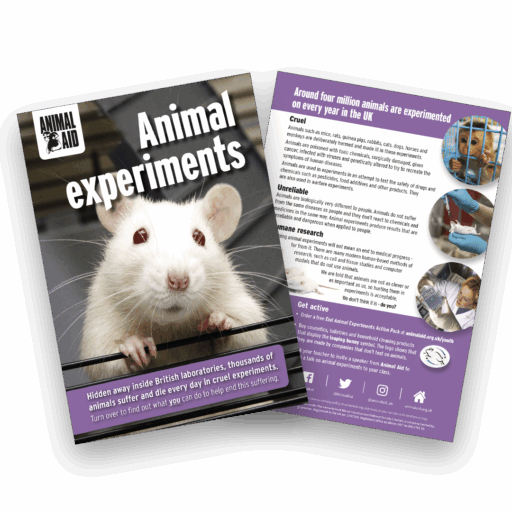 Animal Aid