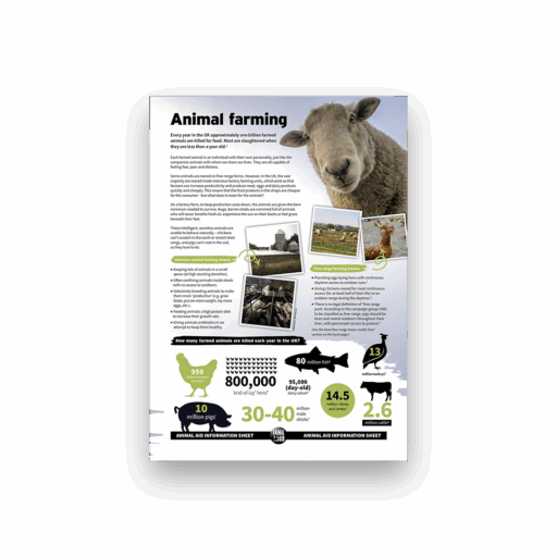 Animal Aid