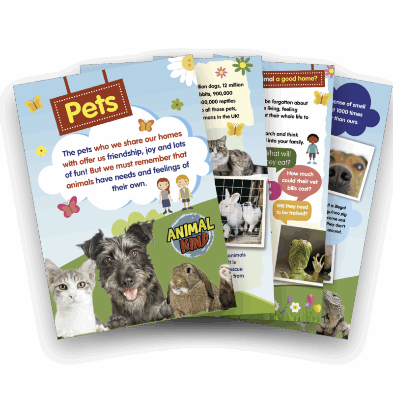 Animal Aid